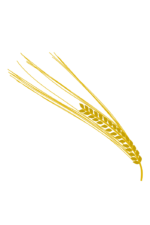 Barley Farmhouse Free SVG File - SVG Heart