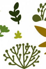 natural elements, leaves, greenery free svg file - SVG Heart