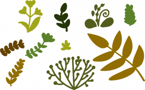 natural elements, leaves, greenery free svg file - SVG Heart