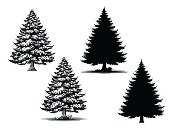 Winter snowy tree svg bundle, Vector design, spruce trees silhouette ...