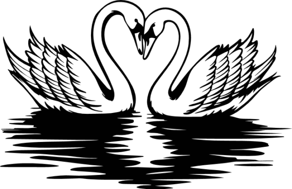 Romantic Swan Couple Free SVG File for Members - Swan Heart Lovely Wall ...