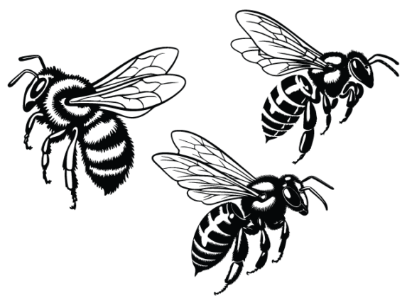 Buzzing Honey Bee free svg file for members, Flying Bees clipart image ...